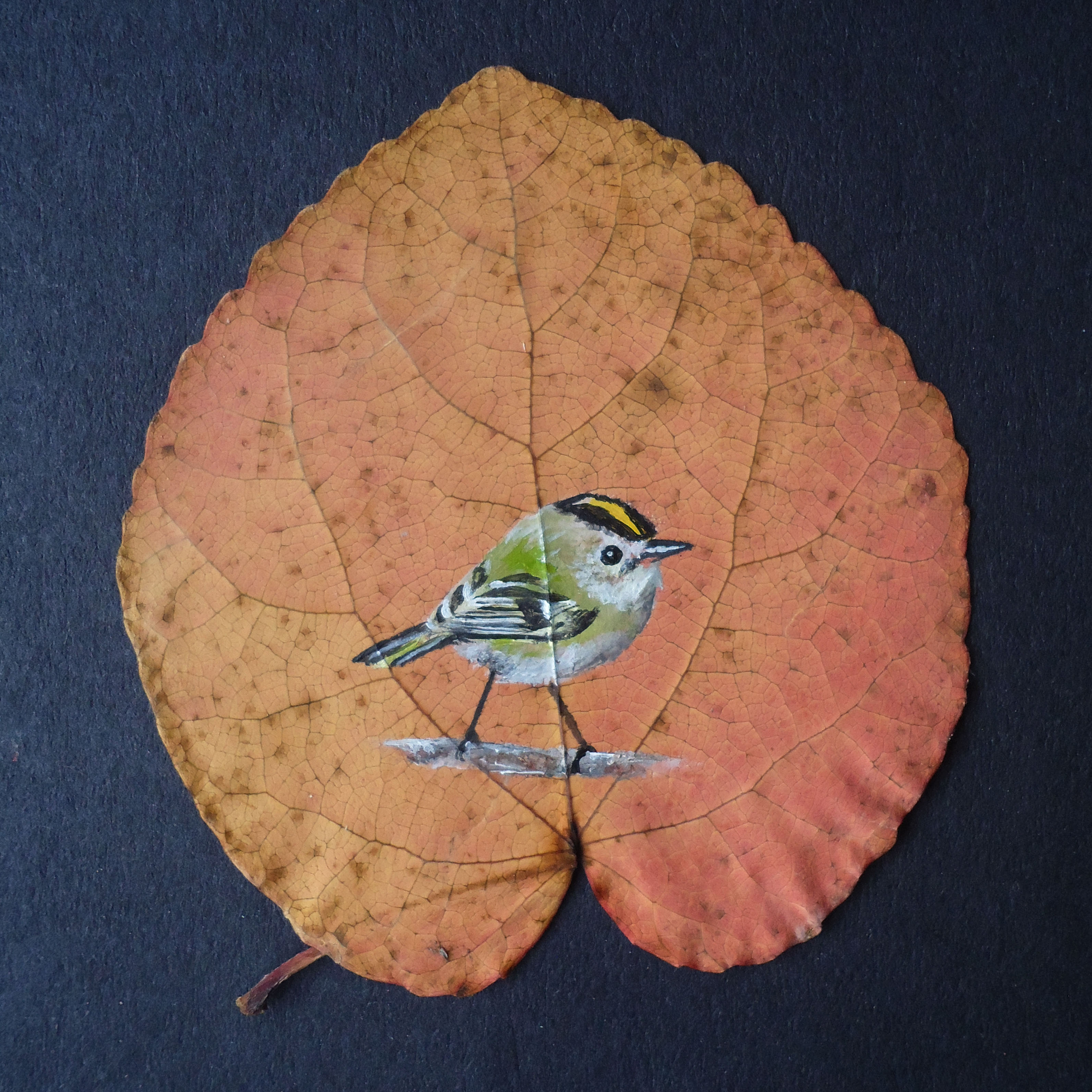Leaf Paintings – Sally Dod
