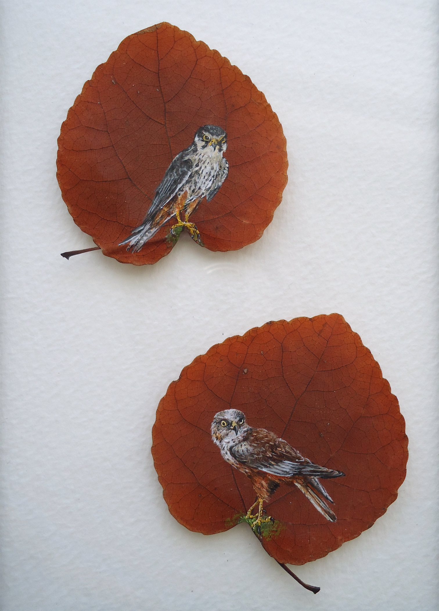 Leaf Paintings – Sally Dod