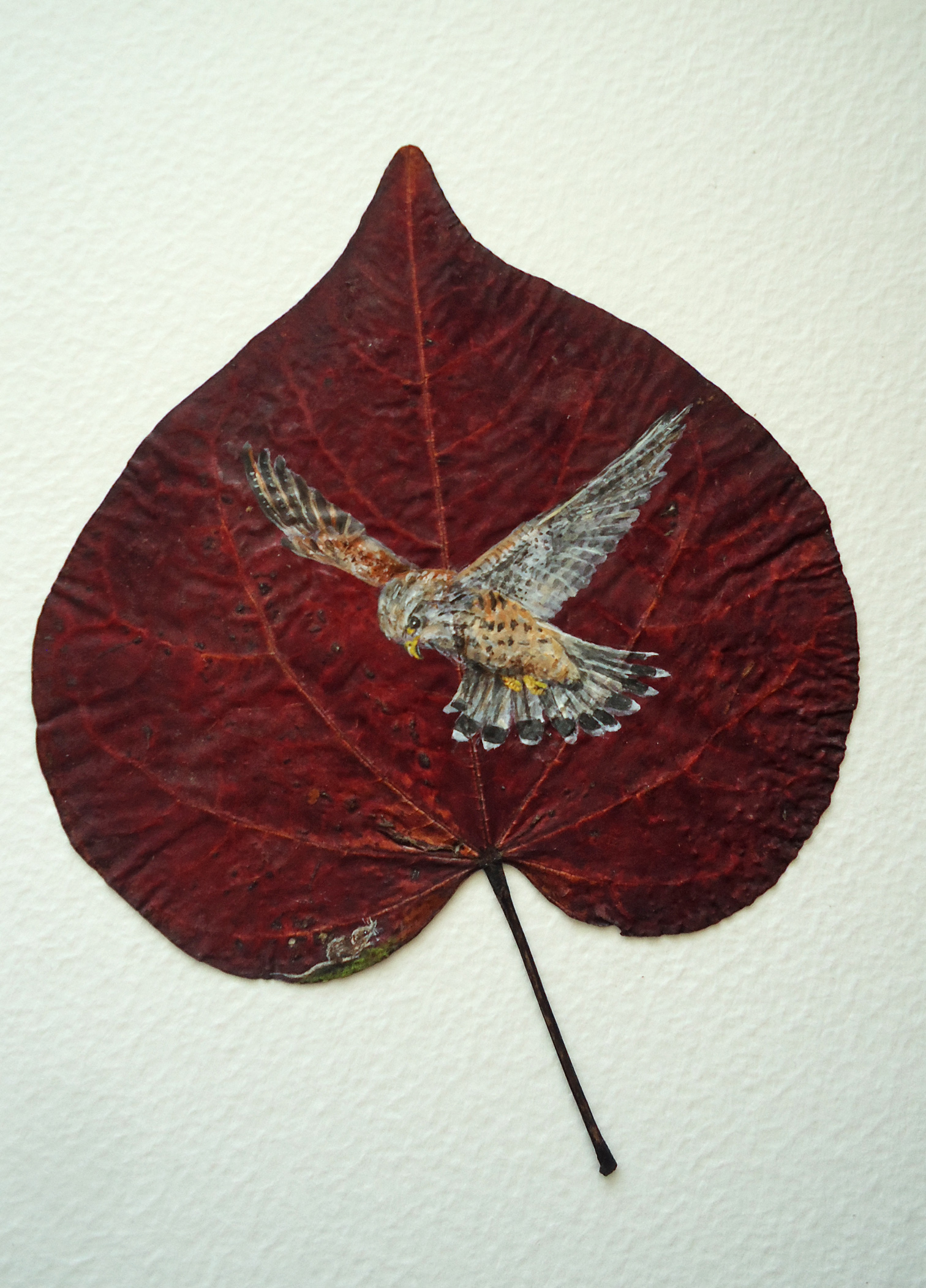 Leaf Paintings – Sally Dod