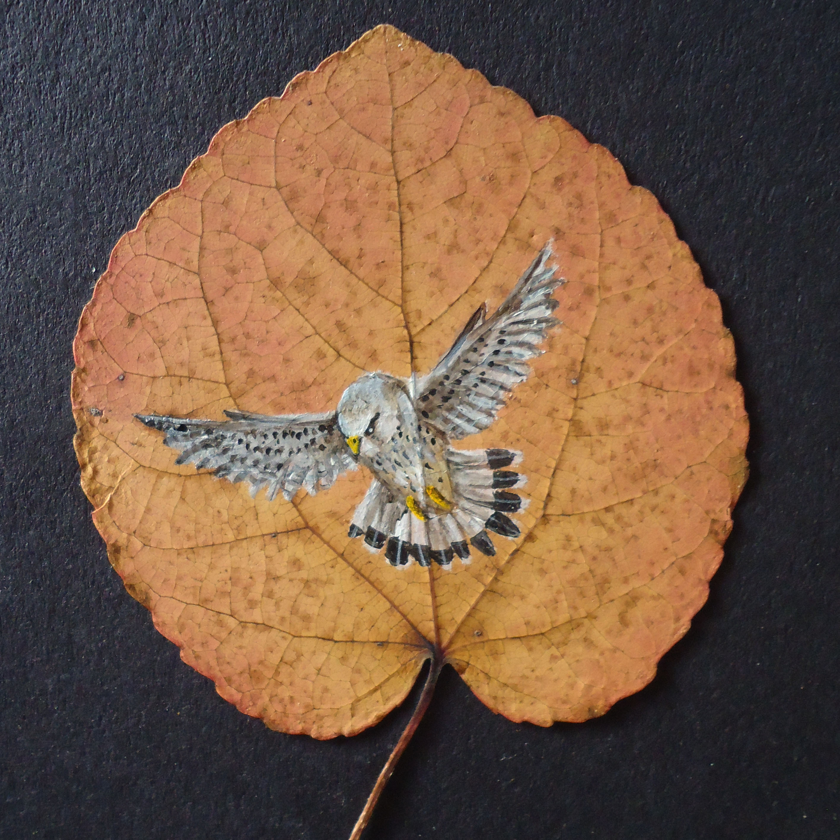 Leaf Paintings – Sally Dod