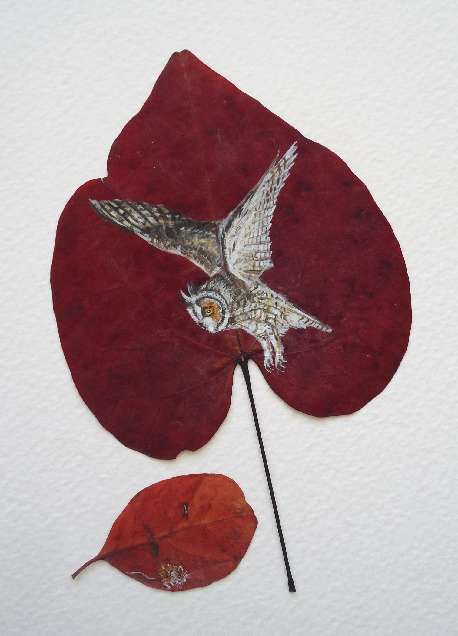 Leaf Paintings – Sally Dod