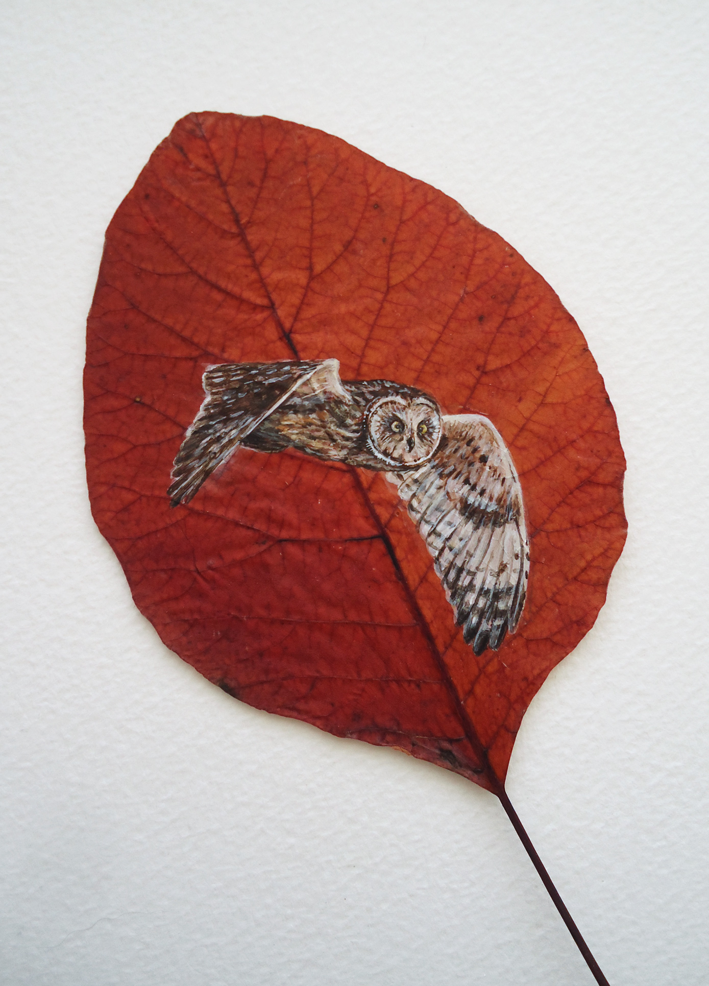 Leaf Paintings – Sally Dod