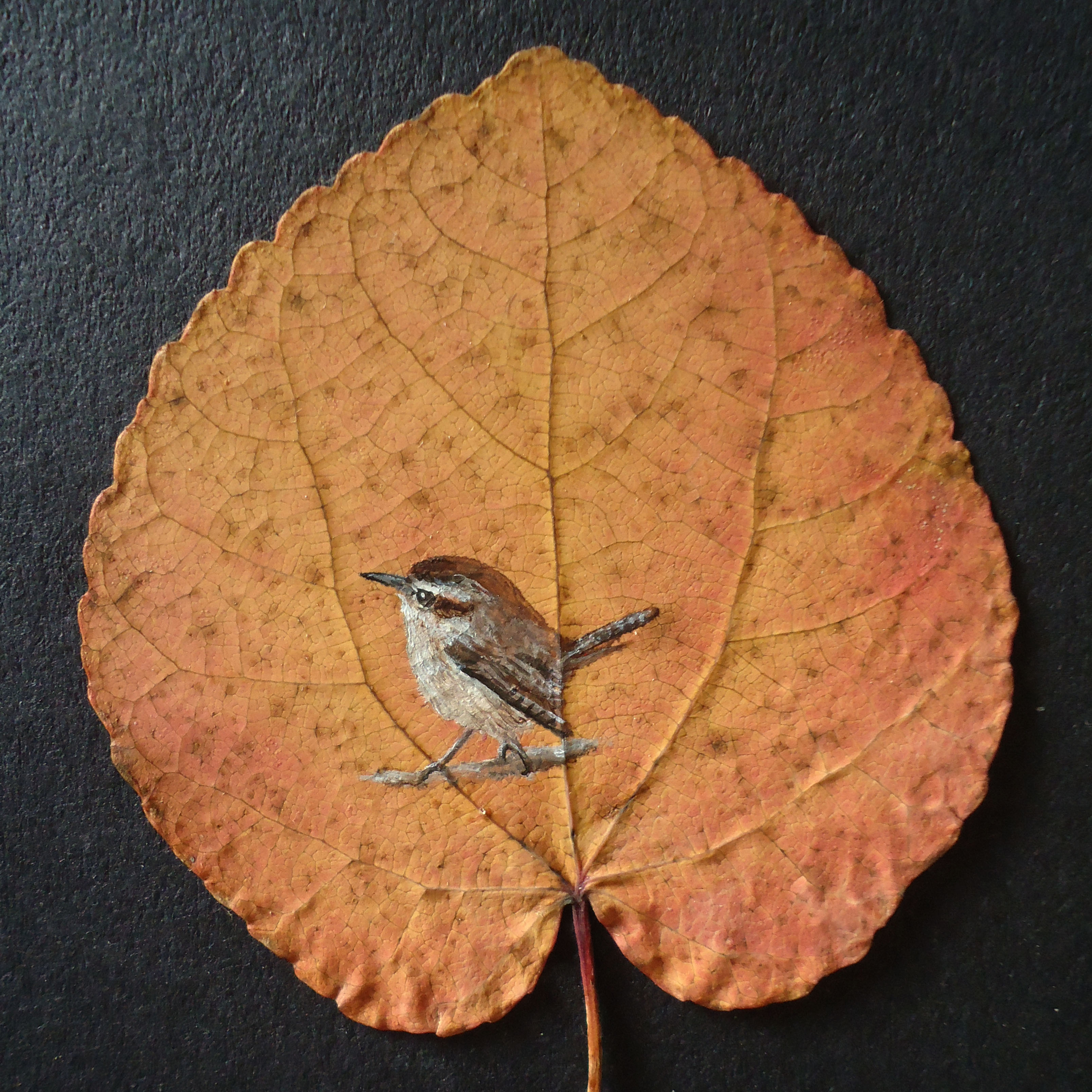Leaf Paintings – Sally Dod